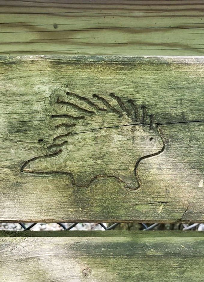 A whimsical porcupine carving on the trail bench &ndash; nature's little reminder of how this magnificent wilderness got its quirky name.