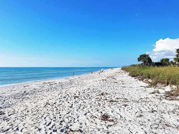 Miles of untouched shoreline where your footprints might be the first of the day. Social distancing before it was mandatory.