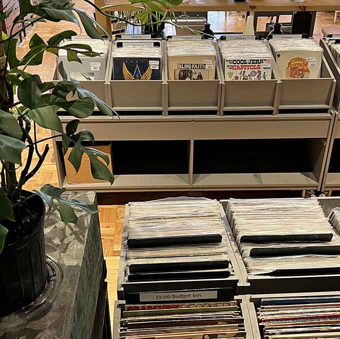 Vinyl records waiting to remind you that music used to require effort, which somehow made it sound better and feel more meaningful.
