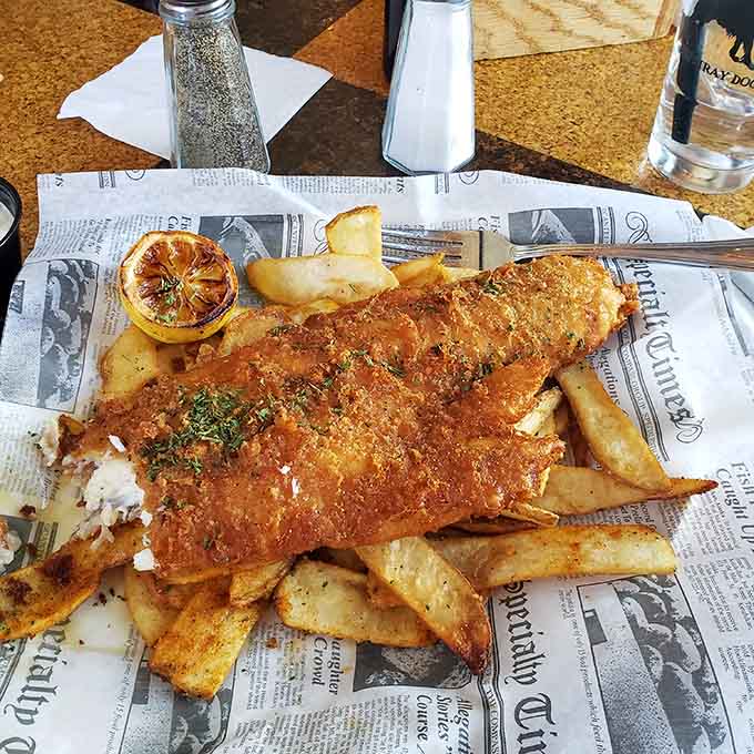 The beer batter achieves that impossible dream of being simultaneously light, crispy, and substantial enough to satisfy your deepest comfort food cravings.