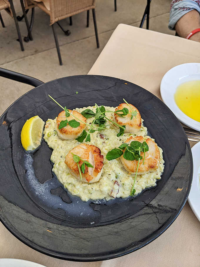 Perfectly seared sea jewels resting on a creamy risotto throne, crowned with delicate microgreens for a touch of elegance.