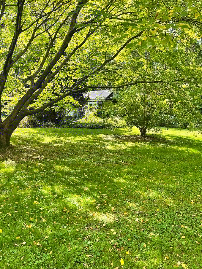 Dappled sunlight filters through ancient trees, creating nature's own stained-glass effect on the verdant lawn.