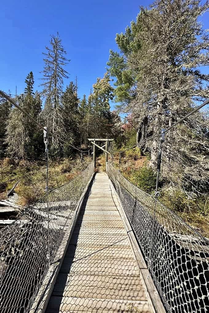 The suspension bridge sways gently as you cross, adding just enough adventure to make you feel like an explorer without actual danger.