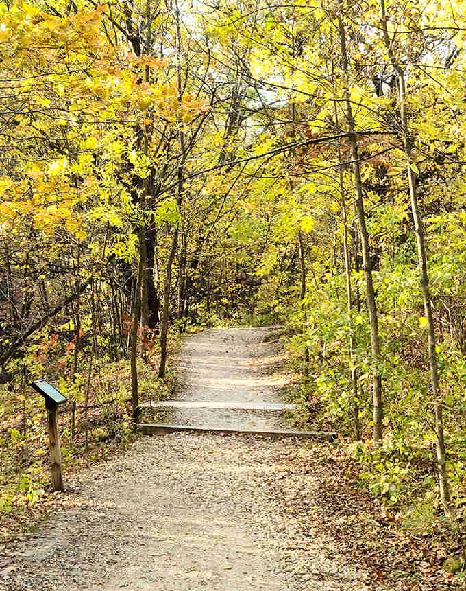 Autumn paints this trail in golden hues, creating a path that seems to lead straight into a storybook adventure.