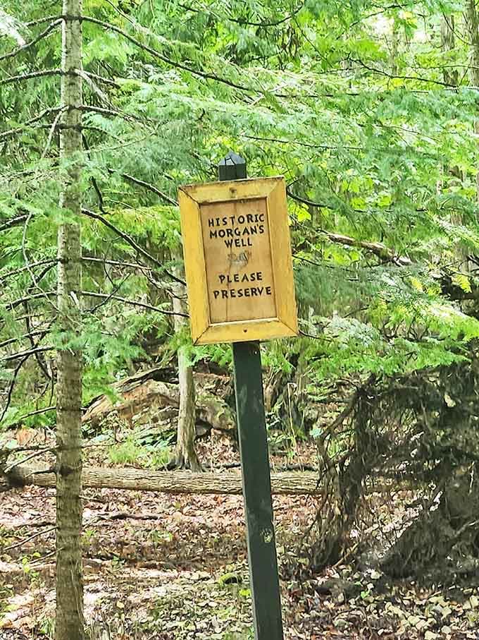 Historic Morgan's Well stands as a humble reminder that the simplest things &ndash; clean water, tall trees, quiet moments &ndash; remain life's greatest treasures.