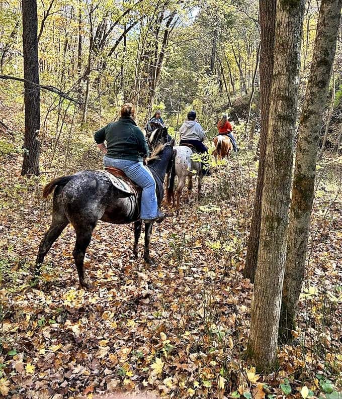 Horseback riders follow ancient pathways through autumn's golden carpet, experiencing the park at nature's intended pace &ndash; unhurried and majestic.