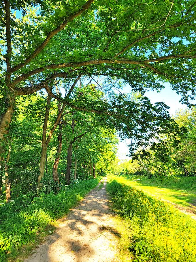 The Illinois & Michigan Canal State Trail invites you to hike, bike, or wander along paths where history and nature create perfect harmony.