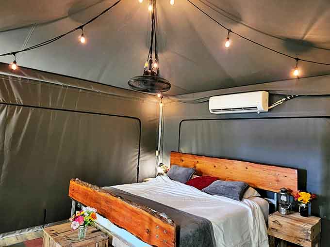 Who knew roughing it could include Edison bulbs, air conditioning, and a bed that doesn't deflate by morning?