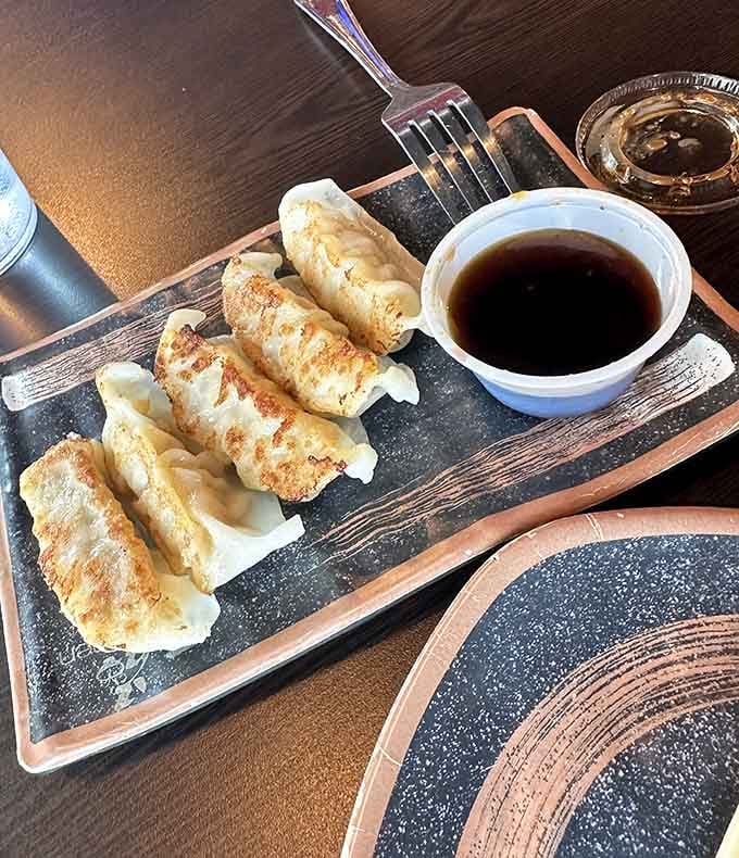 Each dumpling is a little masterpiece of balance, combining savory pork with aromatic vegetables in delicate, perfectly-cooked wrappers.
