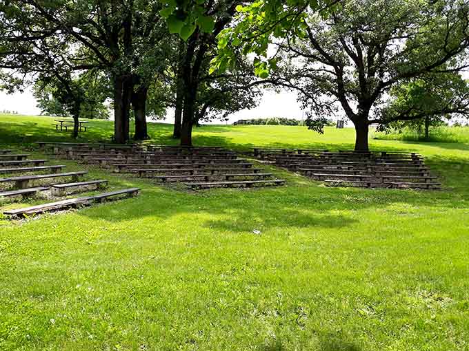 An outdoor amphitheater in the woods beats any indoor venue, especially when the acoustics include actual birdsong instead of feedback.