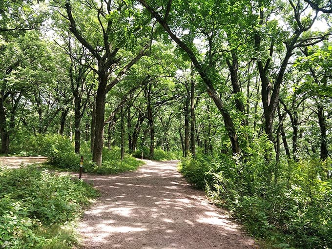 Tree-canopied trails offer shade and serenity, the perfect escape when you need nature to work its magic on your stress levels.