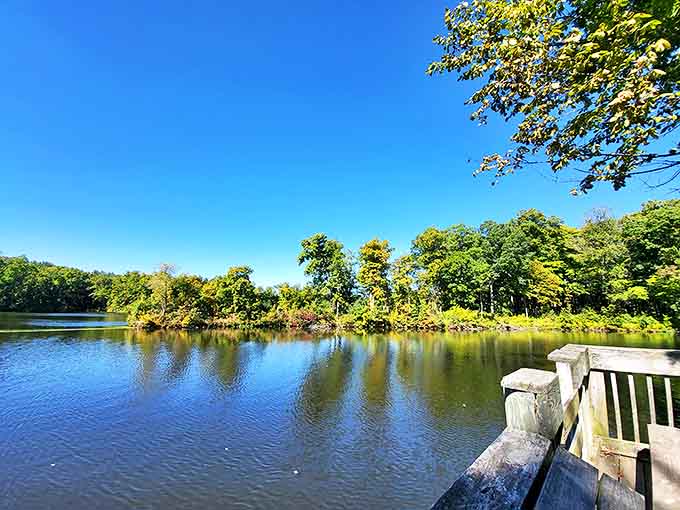 This lake reflects more than just trees and sky, it mirrors the kind of peace you didn't know you were missing until right now.