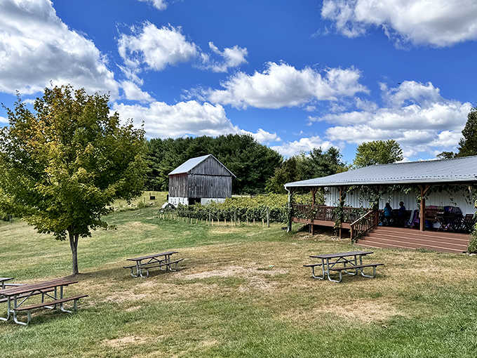 The deck offers front-row seats to nature's greatest show: orderly rows of vines stretching toward distant trees under ever-changing skies.