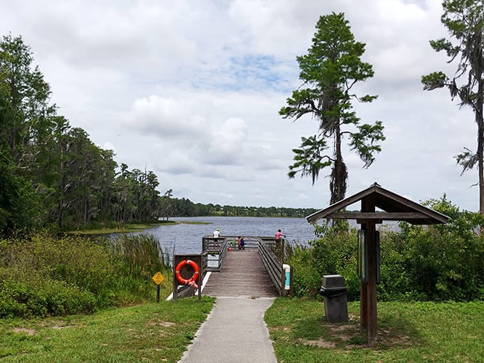 This dock isn't just a wooden platform &ndash; it's nature's front-row seat to the greatest show on earth. No tickets required!