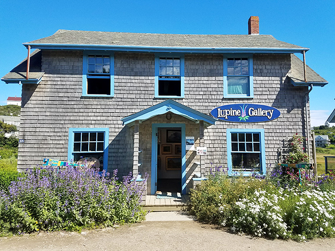 The Lupine Gallery showcases island artists' work, its garden bursting with the namesake purple flowers in summer months.