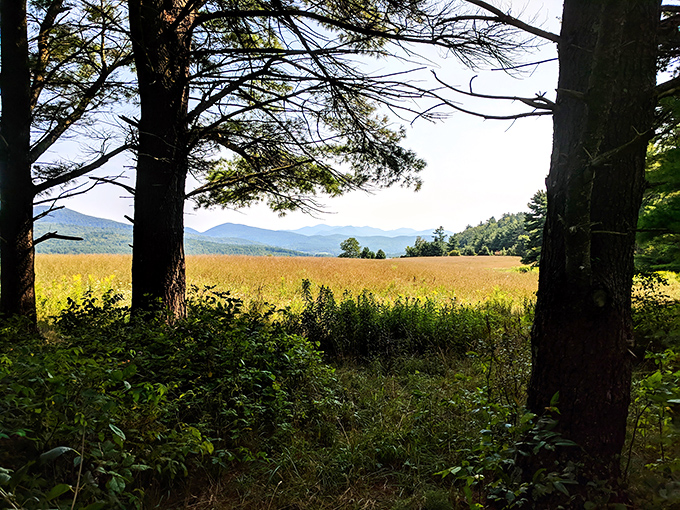 Three Adirondack chairs await philosophical conversations with a view that makes small talk unnecessary &ndash; nature's perfect living room.
