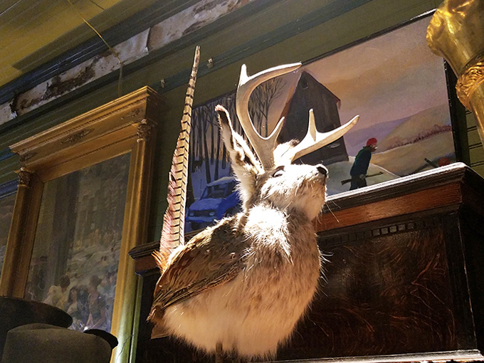 Antlers and artifacts share wall space in perfect harmony, creating unexpected visual conversations between nature and human creation.