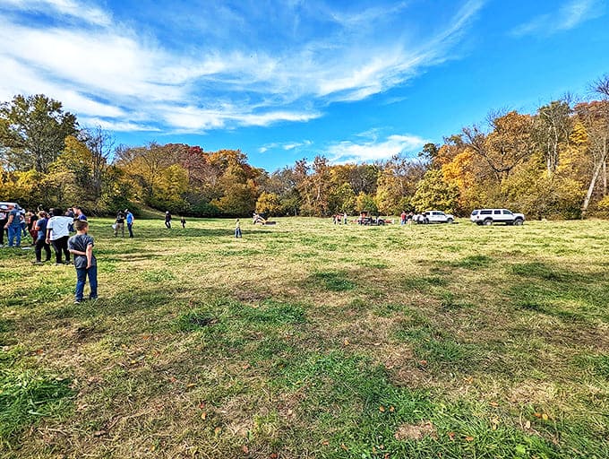 An open meadow that practically begs for impromptu games of frisbee or contemplative cloud-watching sessions.