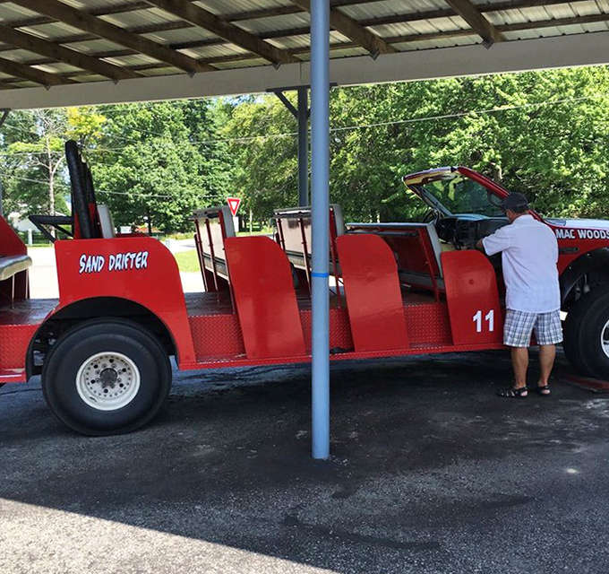 These red dune-tamers rest between adventures, like loyal steeds waiting for their next chance to conquer sandy peaks.