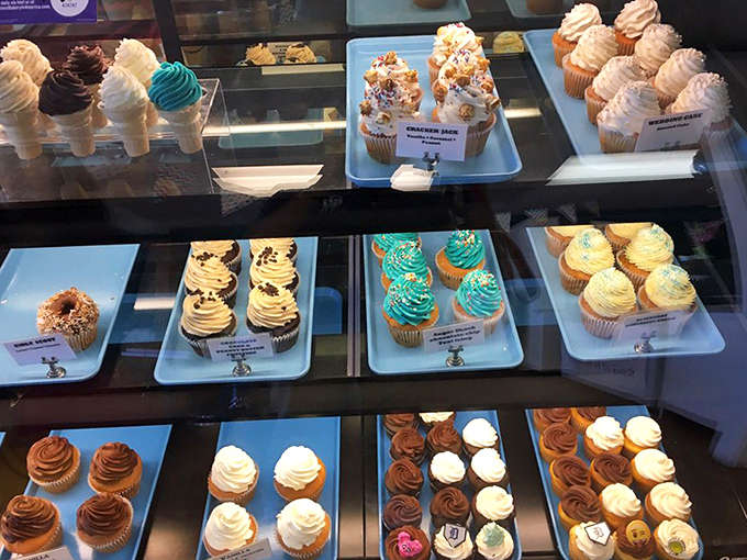 The display case: where dreams are stored at optimal temperature. Each shelf offers a different pathway to dessert nirvana.