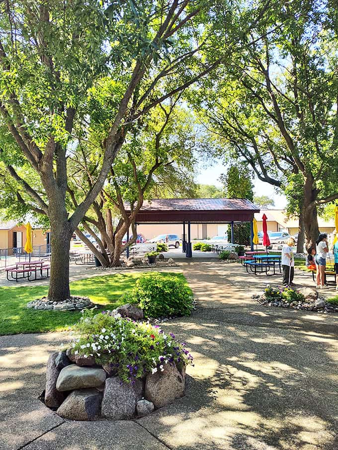 Shaded by mature trees that have witnessed decades of family memories, the patio area offers colorful picnic tables and thoughtfully landscaped grounds for between-attraction breaks.