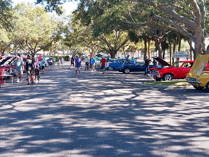 Sailfish Ballpark, where America's favorite pastime unfolds under Florida's endless blue skies and palm tree sentinels.