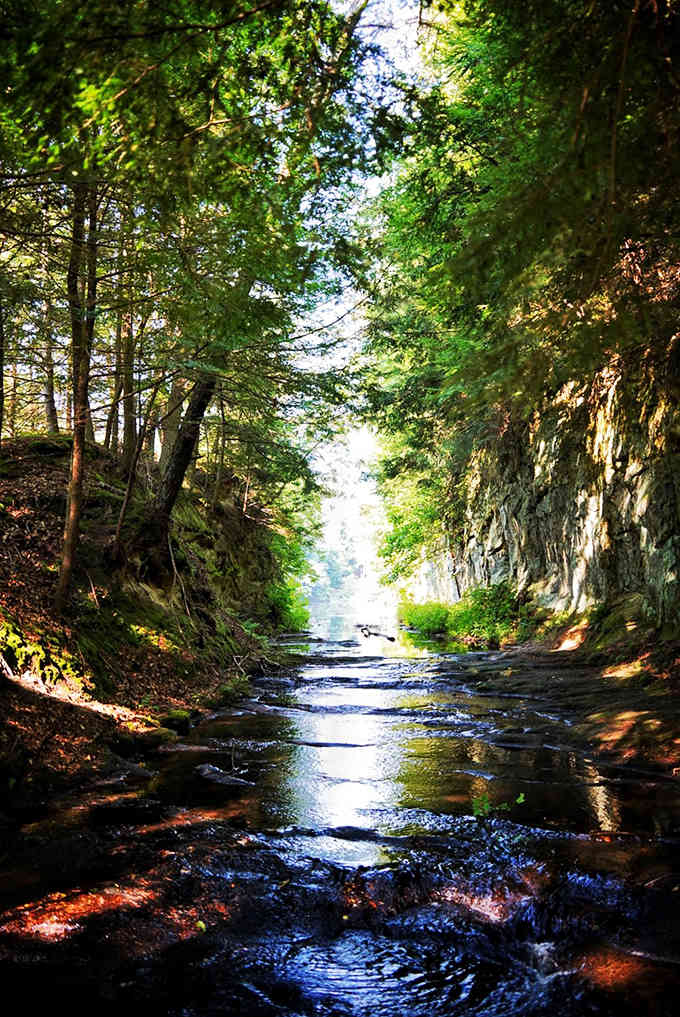 Sunlight filters through a natural stone corridor, illuminating a gentle stream that's been carving this path for centuries.