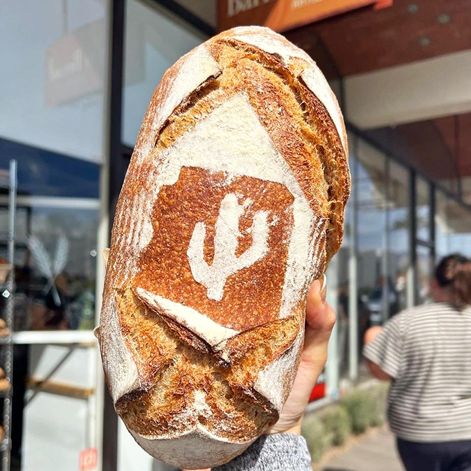 A perfectly executed baguette held against the Arizona sky &ndash; crusty on the outside, tender within, like all the best desert dwellers.