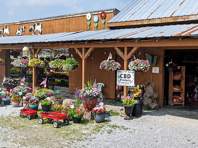 Garden center heaven! This rustic outpost bursts with blooms that would make even the most notorious plant killer feel like a green thumb.