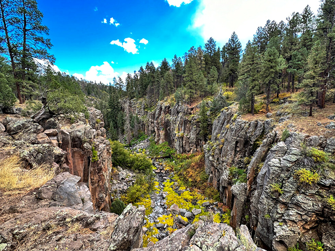 Sycamore Canyon Wilderness reveals dramatic cliffs and verdant valleys, a hidden gem that rivals the Grand Canyon without the crowds.