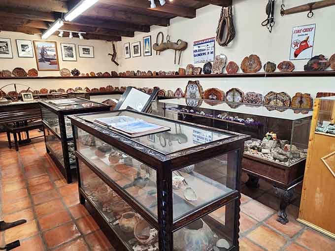 The lobby museum houses decades of Route 66 history, from vintage photographs to quirky souvenirs that tell America's road trip story.