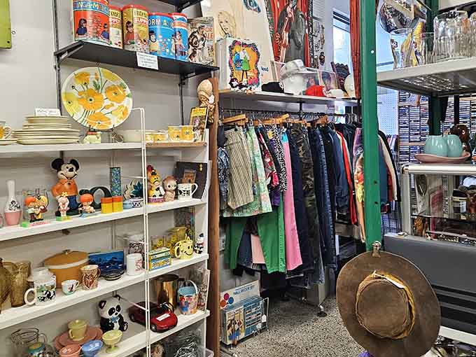 Shelves overflow with treasures that'll make you wonder why you ever threw away your childhood, one collectible at a time.