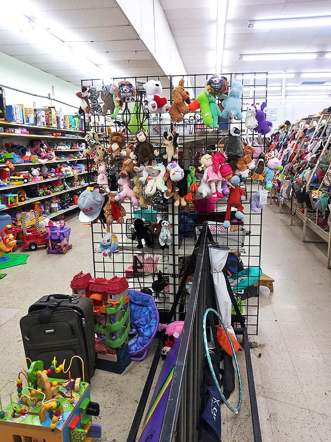 A nostalgic playground where childhood memories come flooding back. Stuffed animals and action figures wait patiently for second chances at being loved.