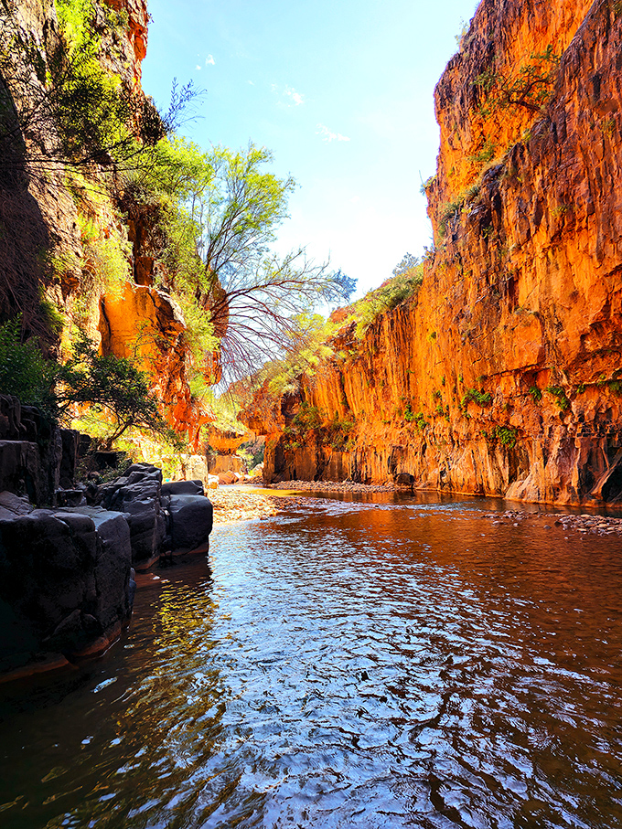 Nature's infinity pool: The emerald-green collection basin captures centuries of falling water, offering the perfect cool-down spot for tired hikers.