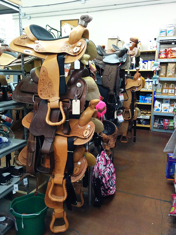 Saddles stacked like leather sculptures, each one representing countless hours of craftsmanship and generations of equestrian tradition.
