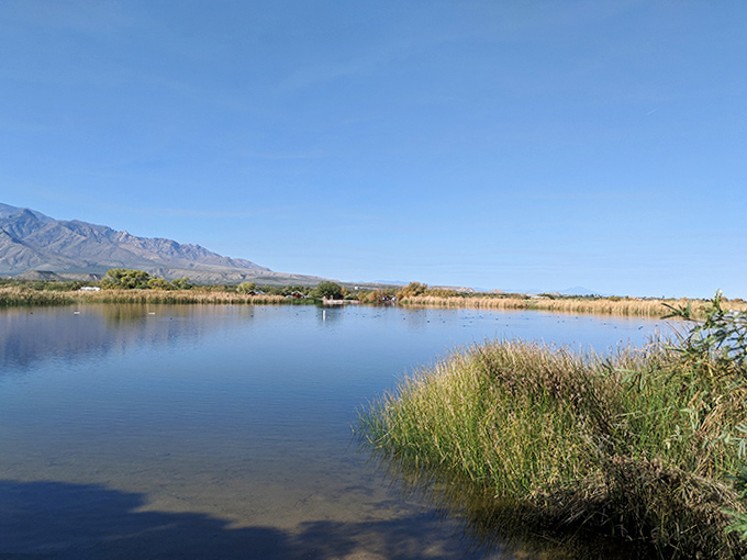 The expansive lake view stretches toward distant mountains, creating that rare sense of peaceful isolation that modern life makes us crave.