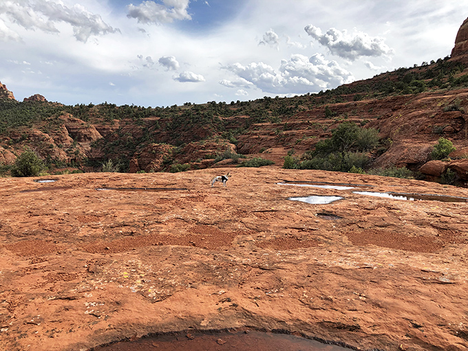 Vast expanses of red rock country stretch to the horizon, a landscape that makes you feel simultaneously tiny and incredibly alive.