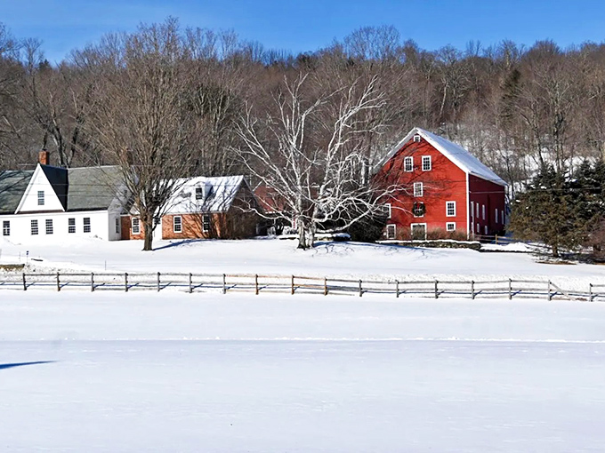Winter wonderland Snow transforms Woodstock into the kind of scene that makes holiday card photographers reach for their cameras.