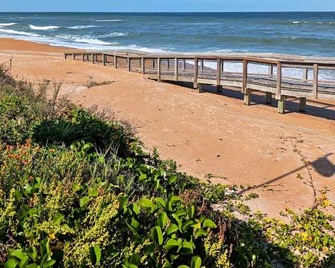 This charming wooden boardwalk cuts through lush greenery, creating a storybook pathway that practically begs for a leisurely stroll.