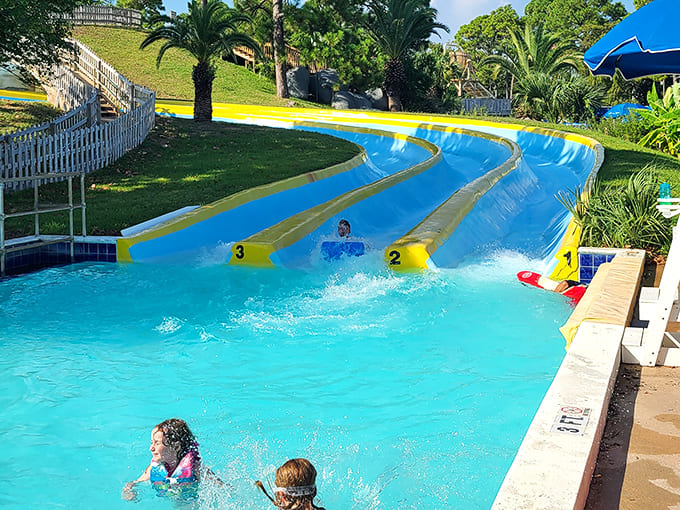 Zoom Flume: Where family rivalries are settled one slippery race at a time, creating stories that'll be embellished for years.