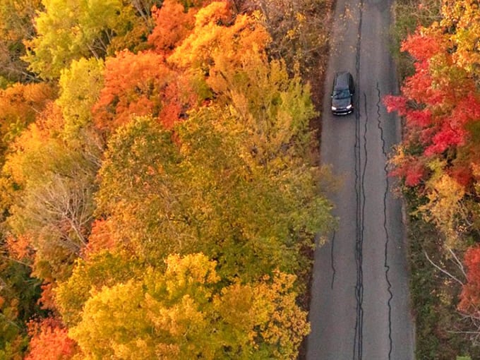Bird's-eye brilliance: Autumn's palette explodes in vibrant yellows and oranges, with a lone car providing scale to the magnificent spectacle.