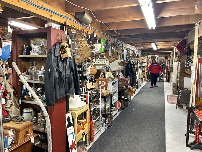 Endless aisles of carefully arranged treasures create a labyrinth of discovery where time seems to stand wonderfully still.