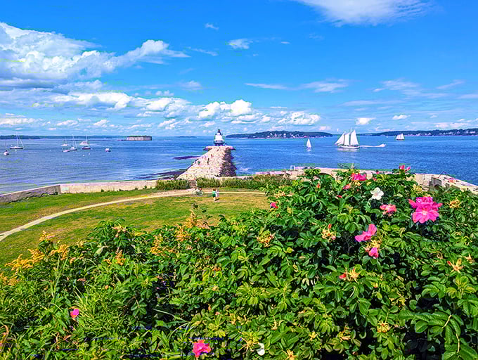 A garden's vibrant blooms frame the distant lighthouse, creating a colorful foreground to this iconic maritime backdrop.