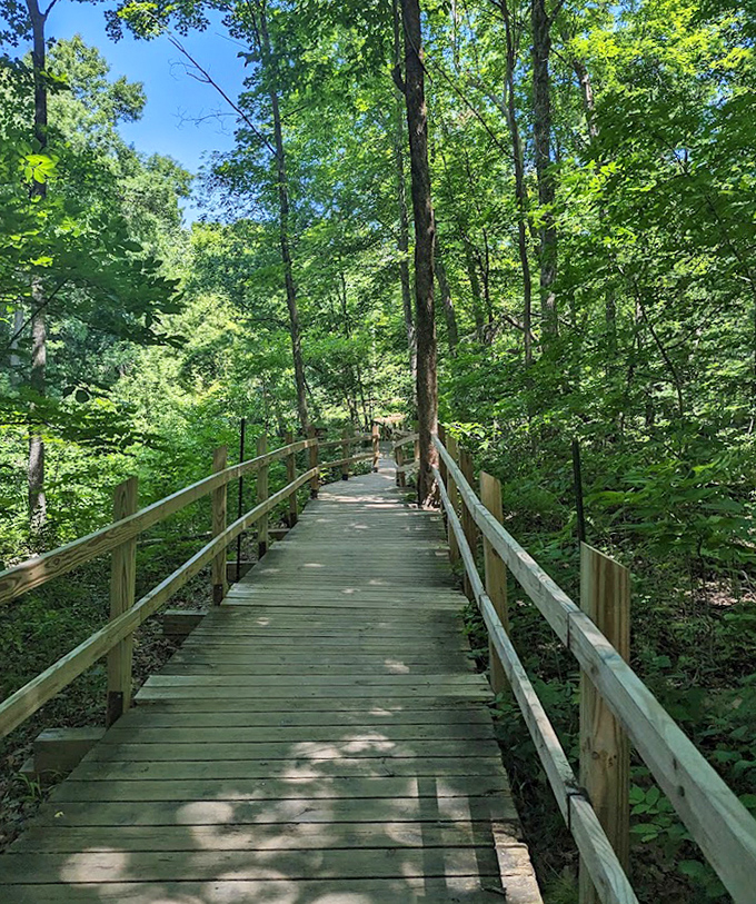The park's elevated boardwalk lets you glide through delicate ecosystems without leaving footprints &ndash; environmental consideration never looked so good!