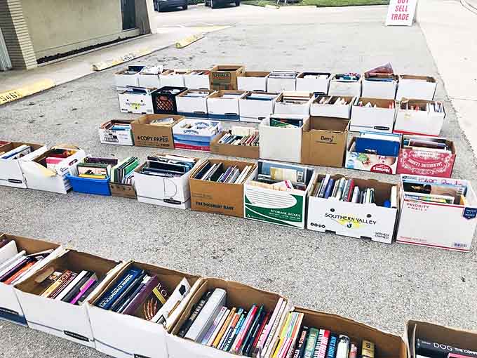 Bargain hunters' paradise: outdoor book boxes offer literary treasures at prices that'll make your wallet sing with joy.