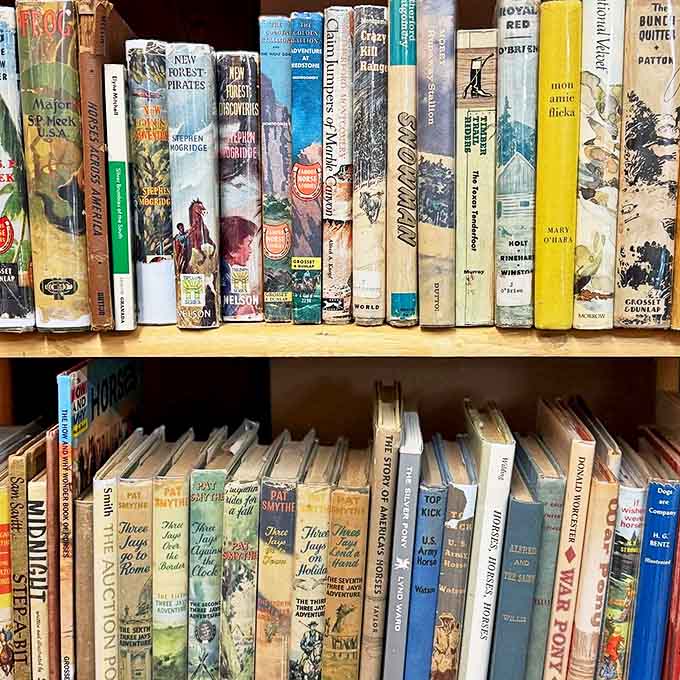 Books stacked and shelved like a library designed by someone who never learned the word "enough" and we're grateful for it.