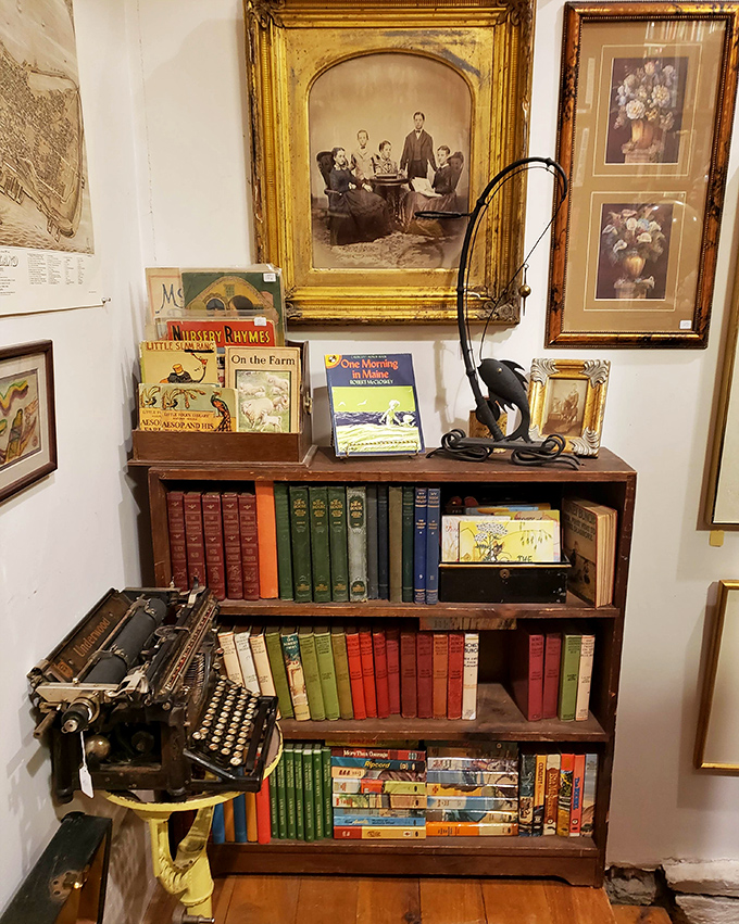 Colorful spines create a literary rainbow, with vintage editions displaying the art of bookbinding across different eras.