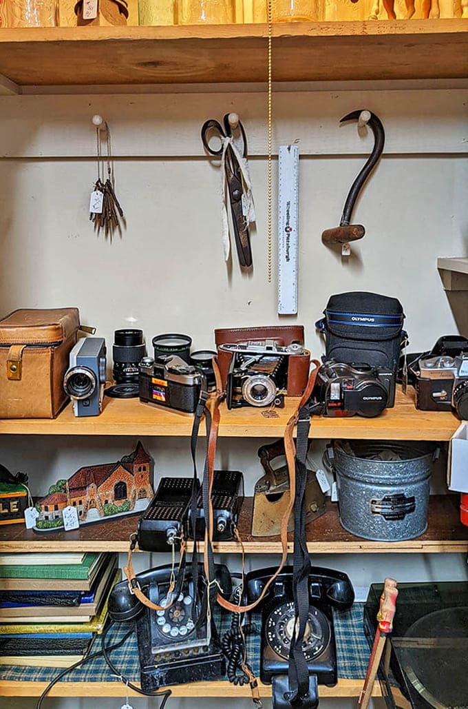 A photographer's dream corner featuring cameras that captured weddings, birthdays, and everyday moments long before "selfie" entered our vocabulary.