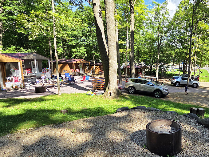 Campsites nestled among towering trees offer that perfect balance of privacy and community that makes camping magic happen.