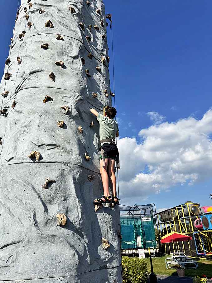 The climbing wall stands as a vertical challenge that quickly reveals which family members are natural risk-takers and which prefer "documenting the experience" from solid ground.